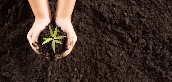 Tanah : Pengertian, Sifat Fisika, Sifat Kimia, dan Manfaatnya Bagi ...